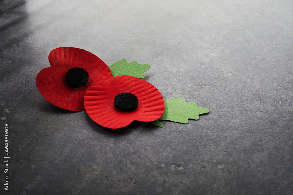 World War remembrance day. Red poppy is symbol of remembrance to those ...