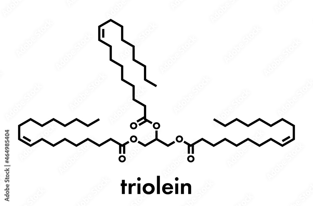 Olive oil triglyceride. Example of an olive oil triglyceride ... Olive oil triglyceride. Example of an olive oil triglyceride ...