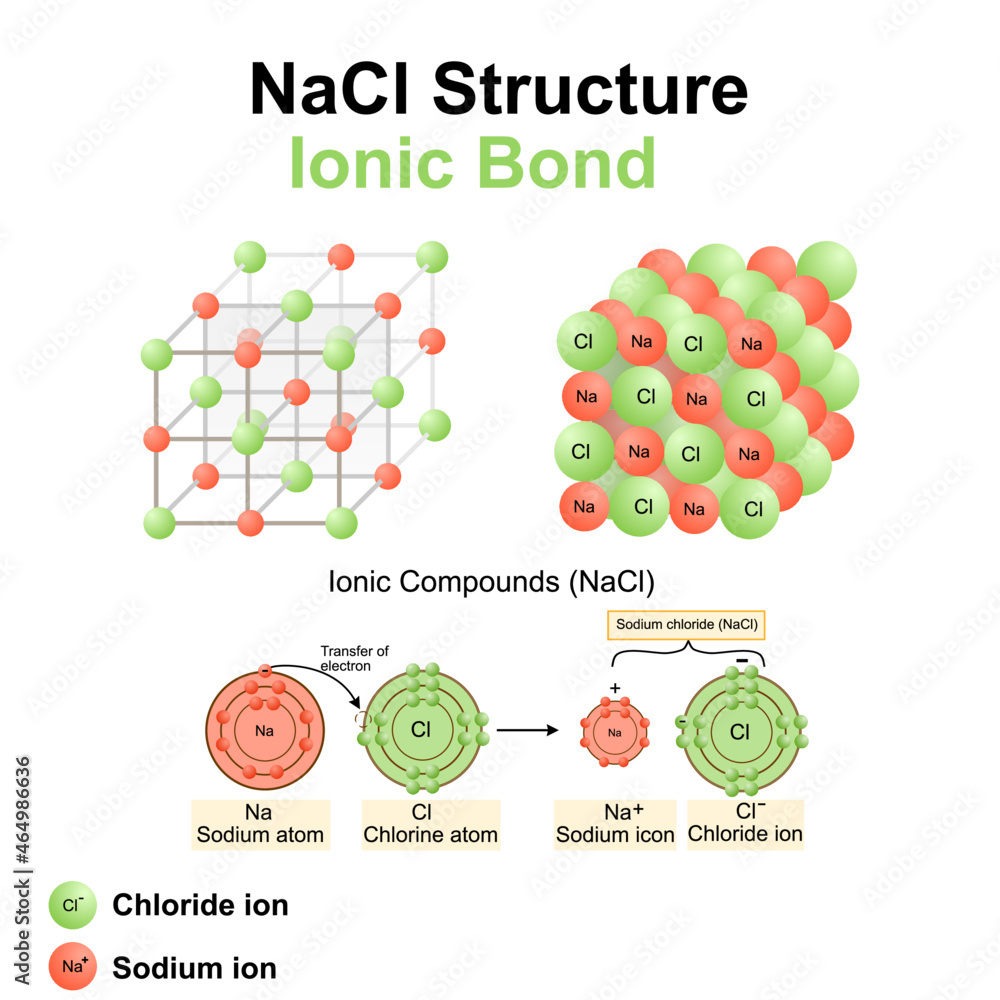Structure of sodium chloride (salt).NaCl model.Vector illustration ...