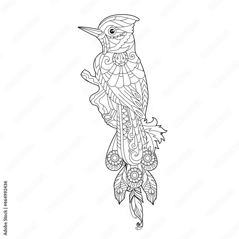 Cute beautiful bird with long tail. Black and white background. Funny ...