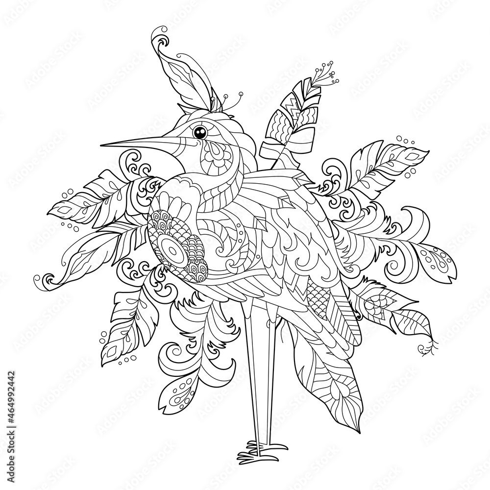 Cute beautiful bird with long tail. Black and white background. Funny ...