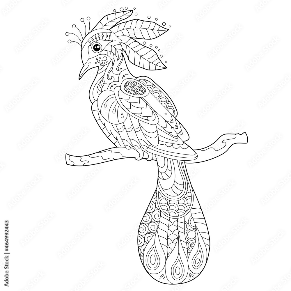 Cute beautiful bird with long tail. Black and white background. Funny ...