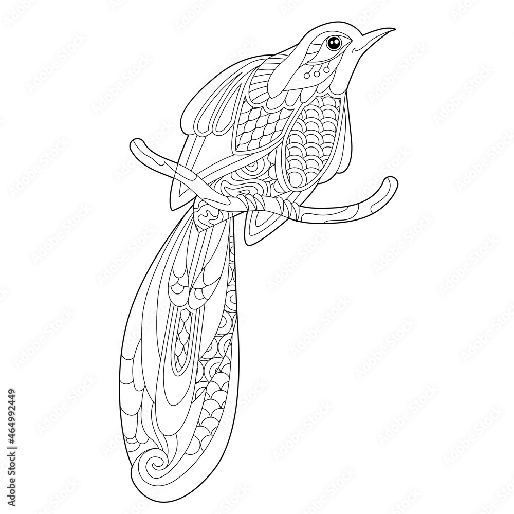 Cute beautiful bird with long tail. Black and white background. Funny ...