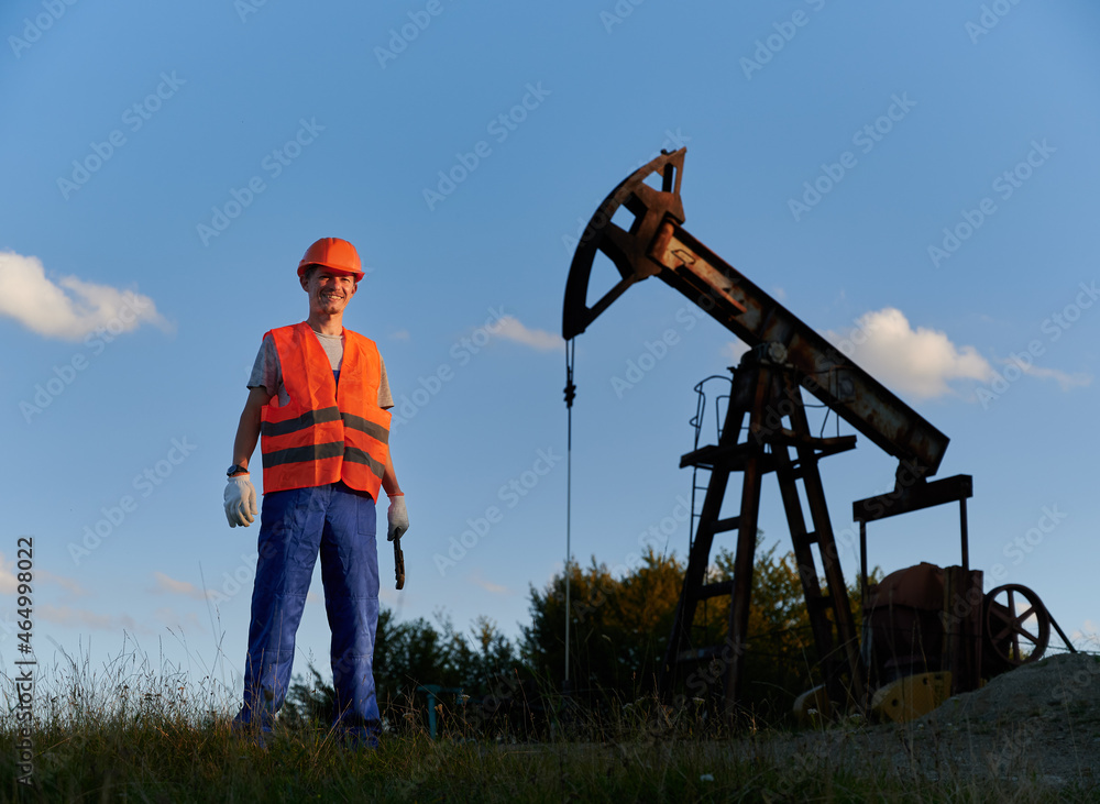 Smiling geologist mechanic in workwear and construction helmet standing ...