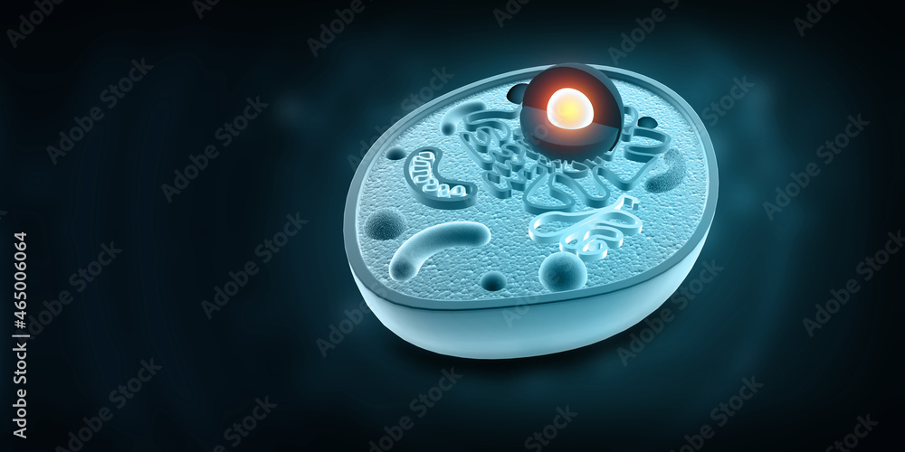 Cell Structure on blue background. 3d illustration.. Stock Illustration ...