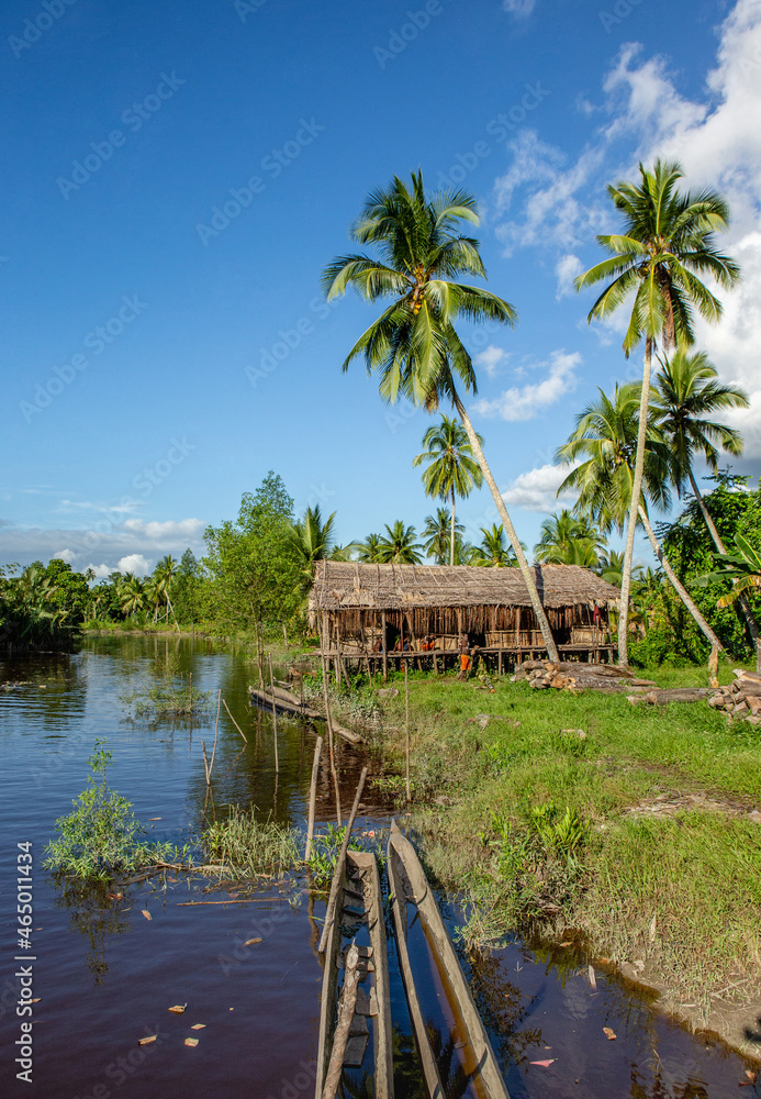 Men's house in the traditional village of Asmat tribe on the river ...