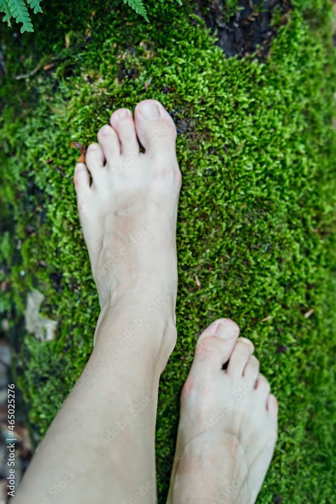 Female feet barefoot standing on mossy tree in forest, relaxation ...