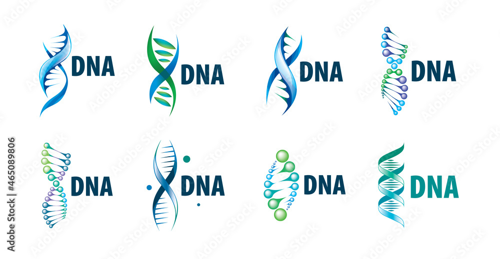 A set of vector logos in the shape of a DNA spiral Stock Vector | Adobe ...