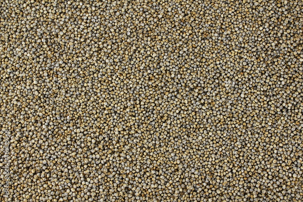 pearl millet grain whole for indian food recipe as food background ...