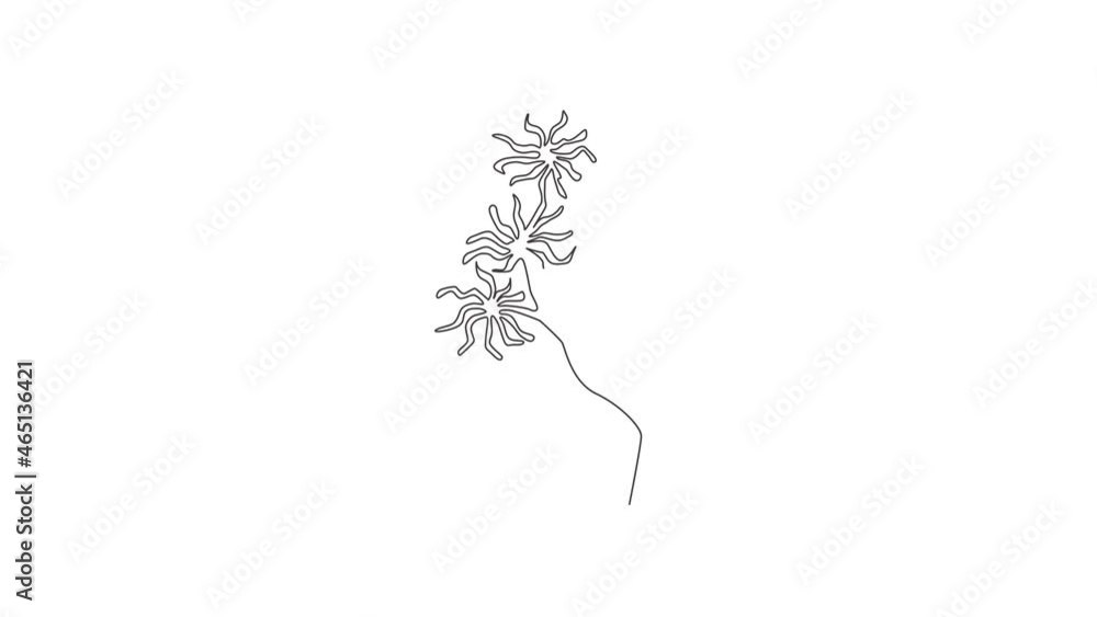 Animated Self Drawing Of One Continuous Line Draw Beauty Fresh Witch