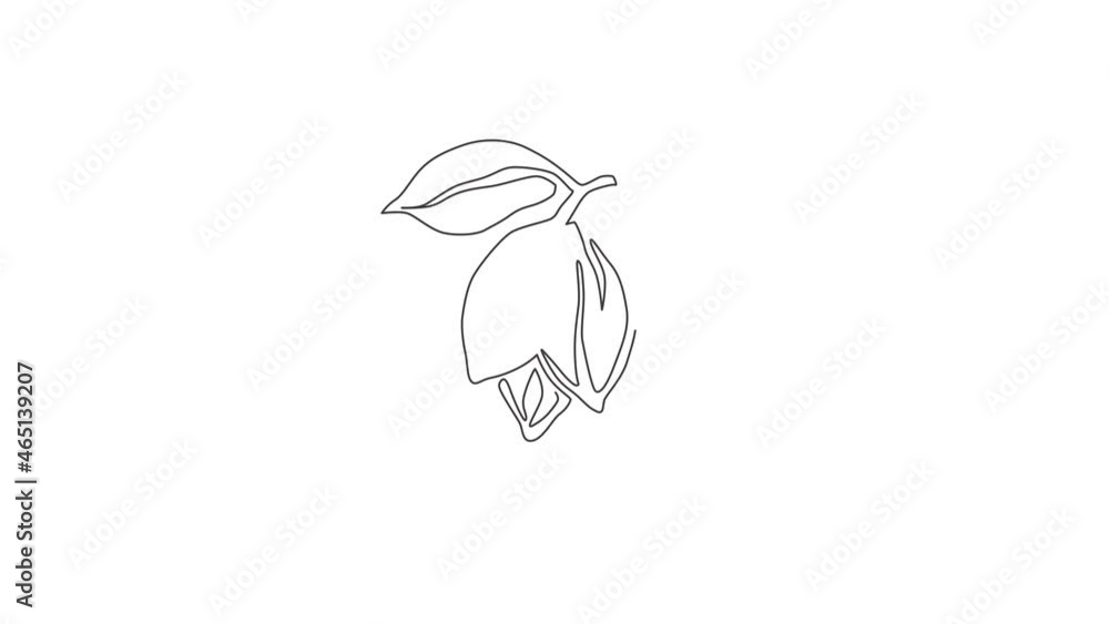 Animated self drawing of single continuous line draw whole healthy ...