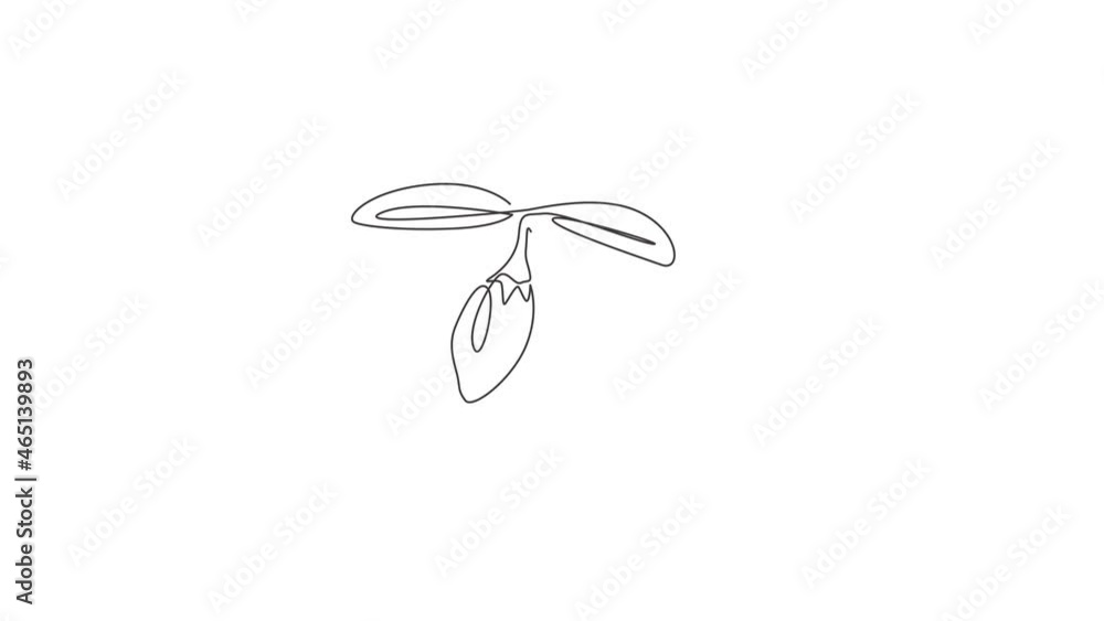 Animation of one line drawing of pile healthy organic goji berries for ...