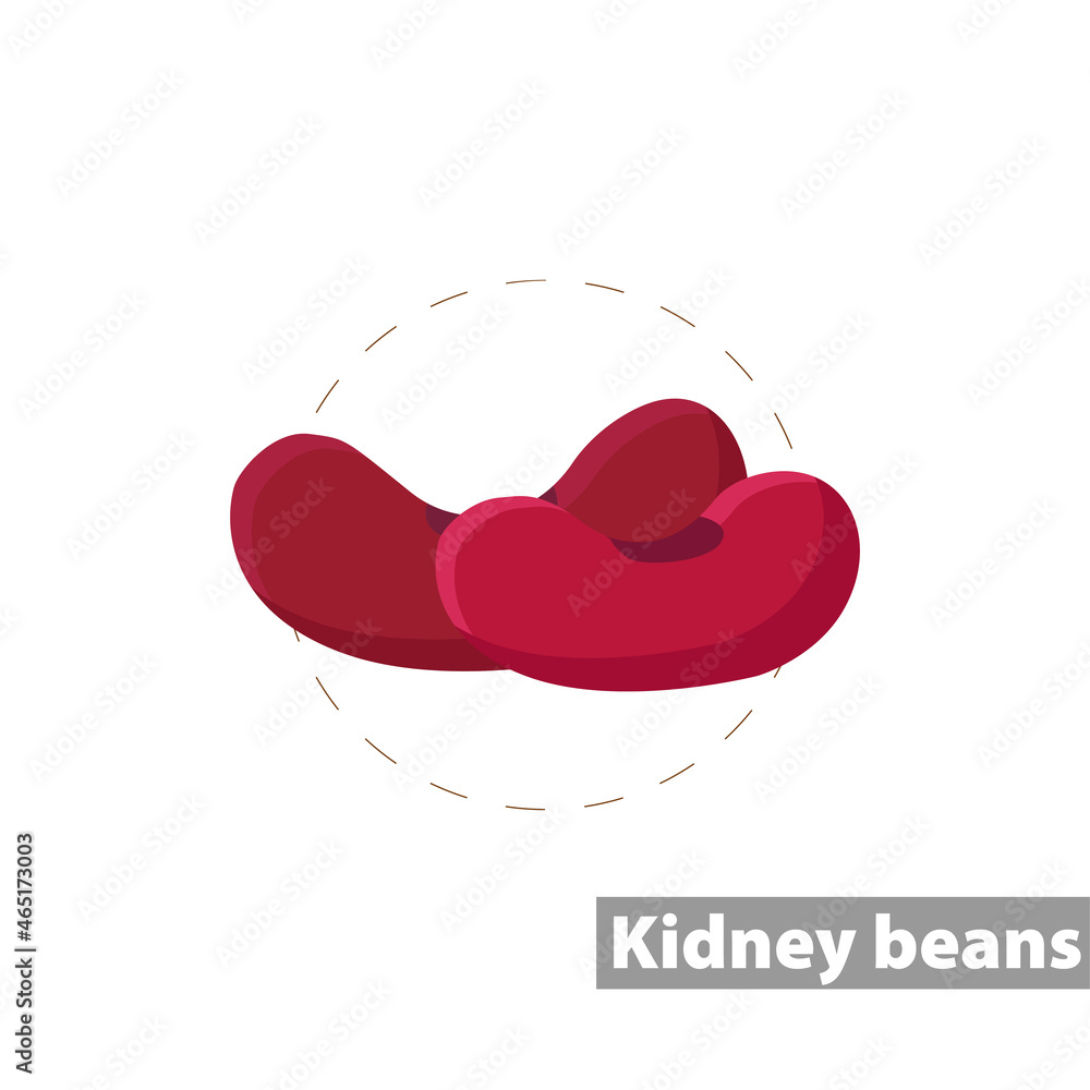 Red kidney bean isolated illustration on white background. Red kidney ...
