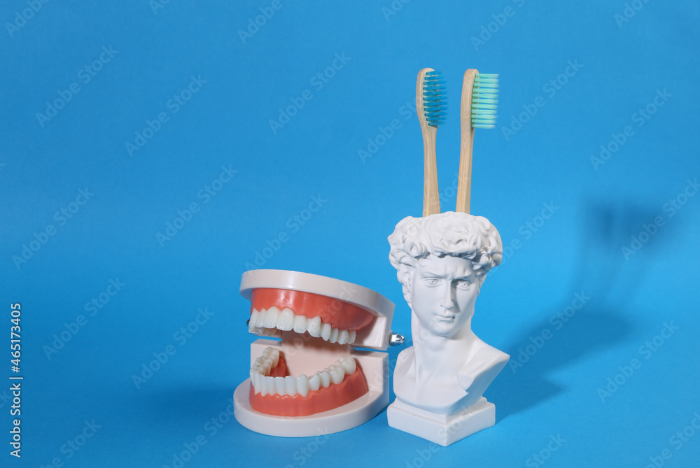 Plaster bust of David with eco toothbrushes and jaw model on bright ...