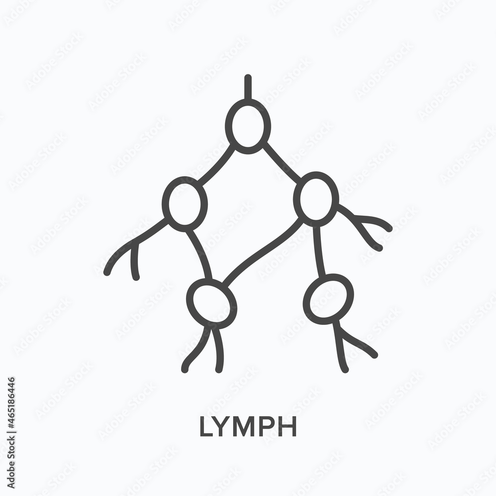 Lymph flat line icon. Vector outline illustration of human anatomy ...