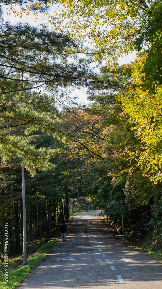 Beautiful scenery in the park Stock Photo | Adobe Stock