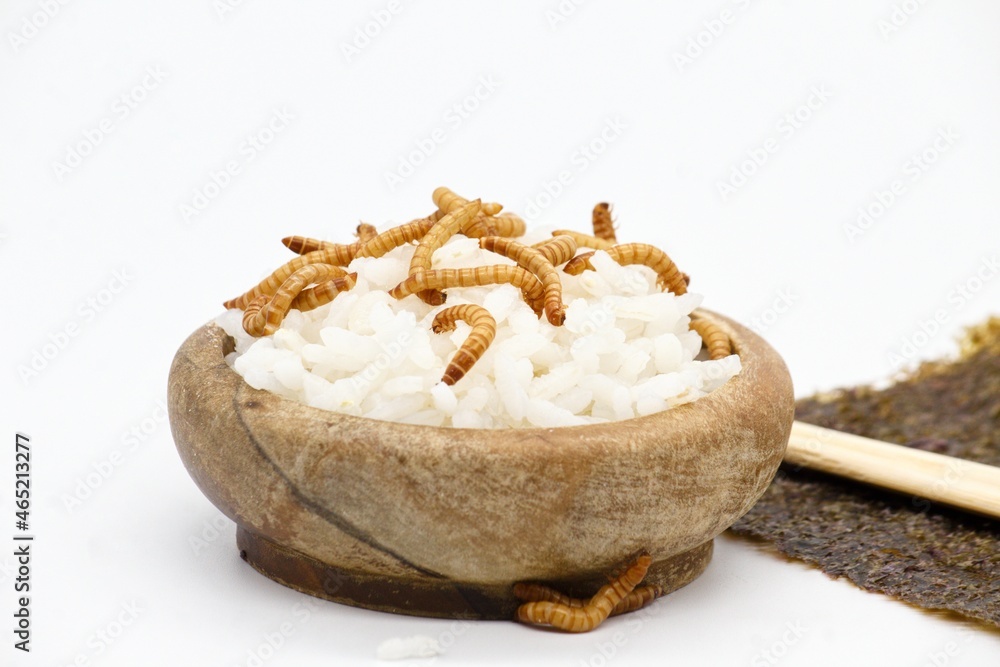 Healthy worms in white rice. Food of the future. The earthworms and ...