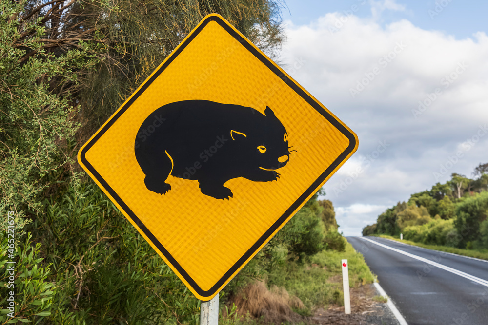Wombat crossing sign standing beside asphalt road Stock Photo | Adobe Stock