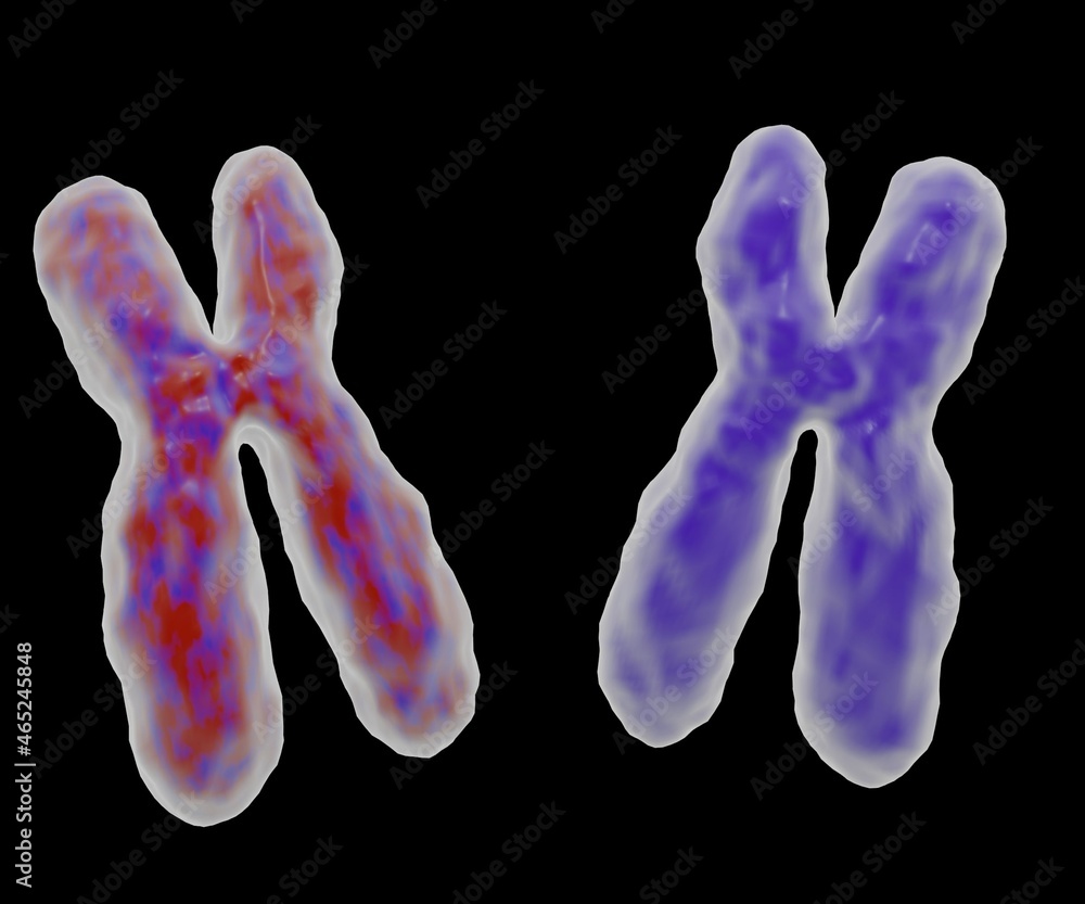 chromosomal disorder or abnormalities Stock Illustration | Adobe Stock
