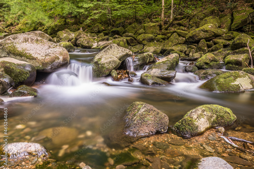 Fabelhafte Wildbachklamm Buchberger Leite Fotos