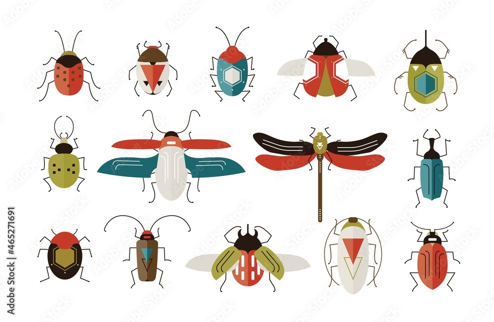 Collection of various colorful geometric insects with wings and ...