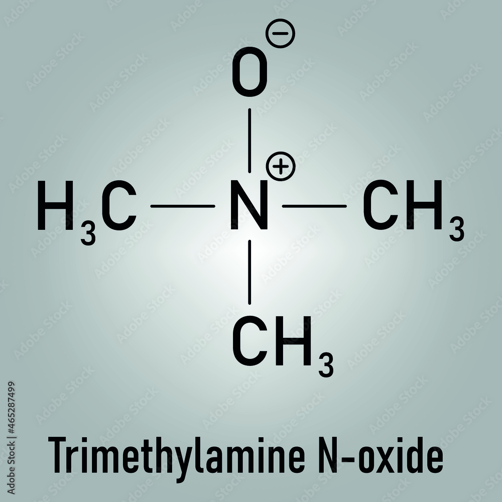 Trimethylamine Lewis Structure
