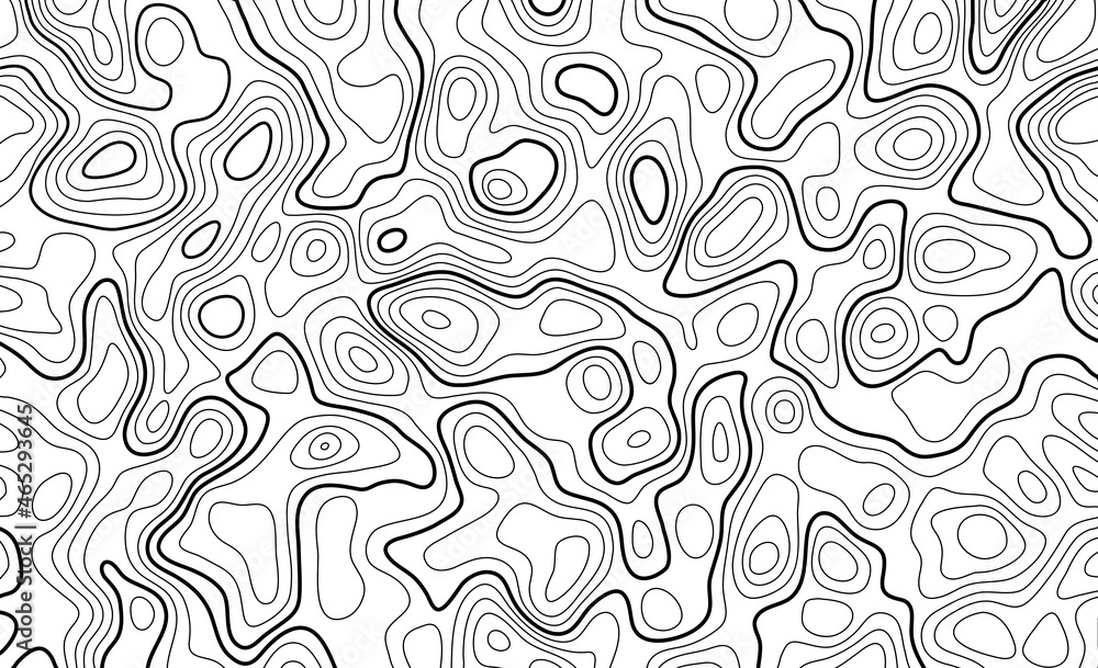 The black on white contours vector topography stylized height of the ...