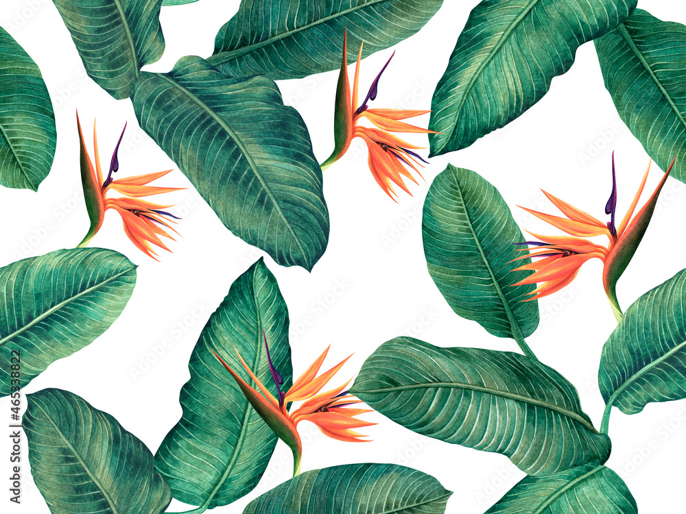 Watercolor painting bird of paradise with green leaves seamless pattern ...