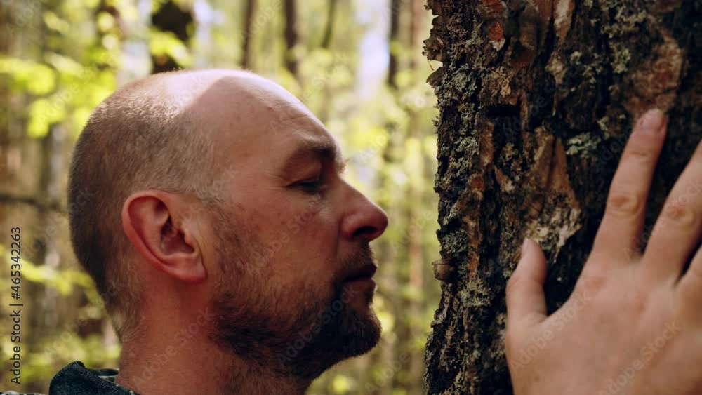 A man walks up to a huge tree, sniffs the bark and hugs the trunk. An ...
