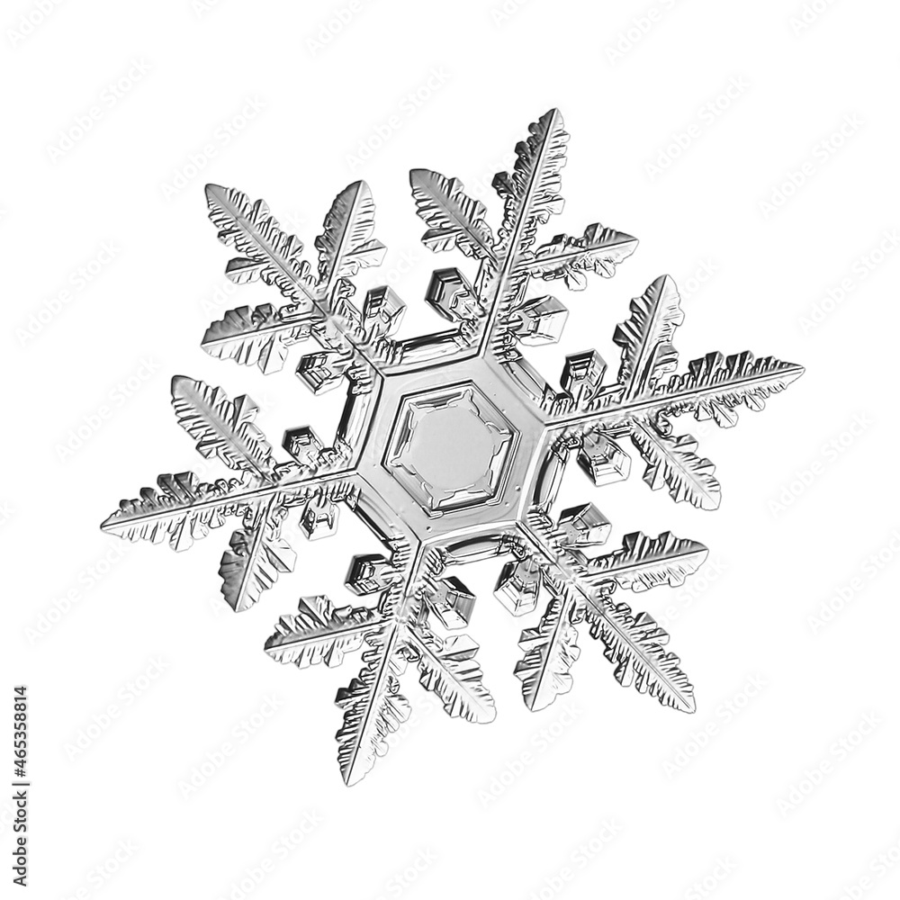 Snowflake isolated on white background. Macro photo of real snow ...
