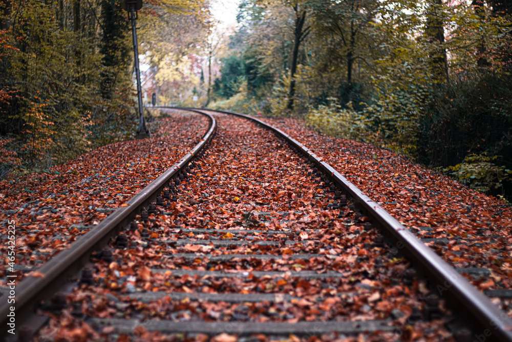 Schienen Stock Photo | Adobe Stock