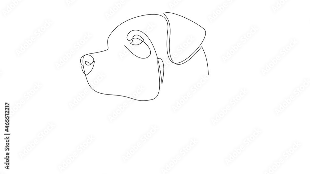 Self drawing simple animation of single continuous one line drawing ...
