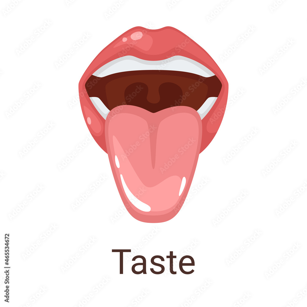 Vector illustration one of five senses - taste Stock Vector | Adobe Stock