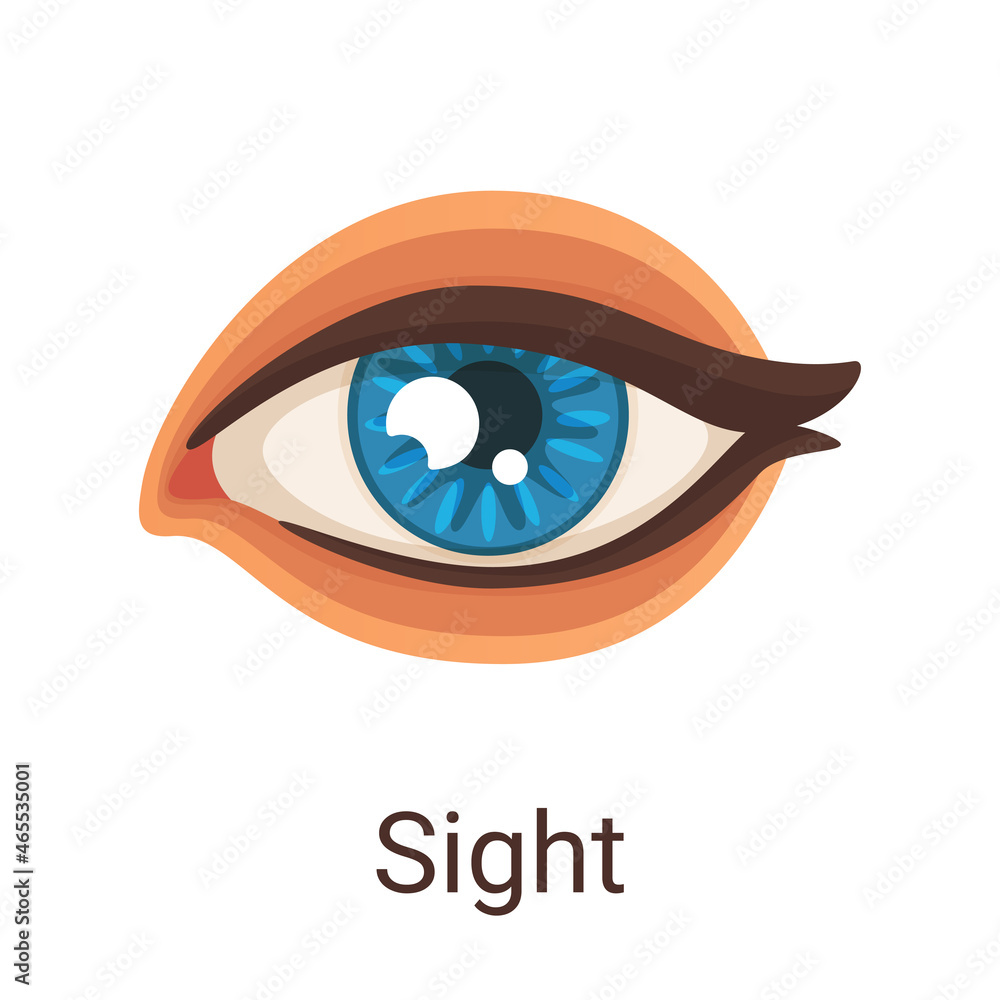Vector illustration one of five senses - sight Stock Vector | Adobe Stock