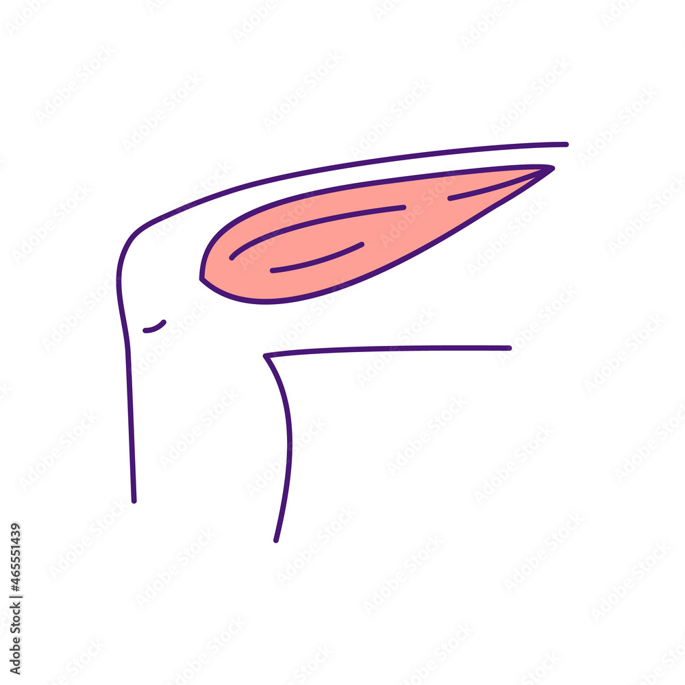 Upper leg muscle RGB color icon. Stiffness in body part. Health care ...