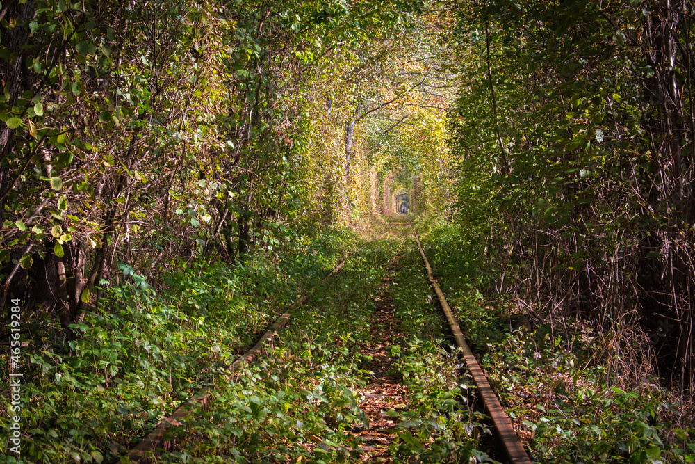 Famous landscape called Tunnel of Love, Ukraine. Railway with natural ...
