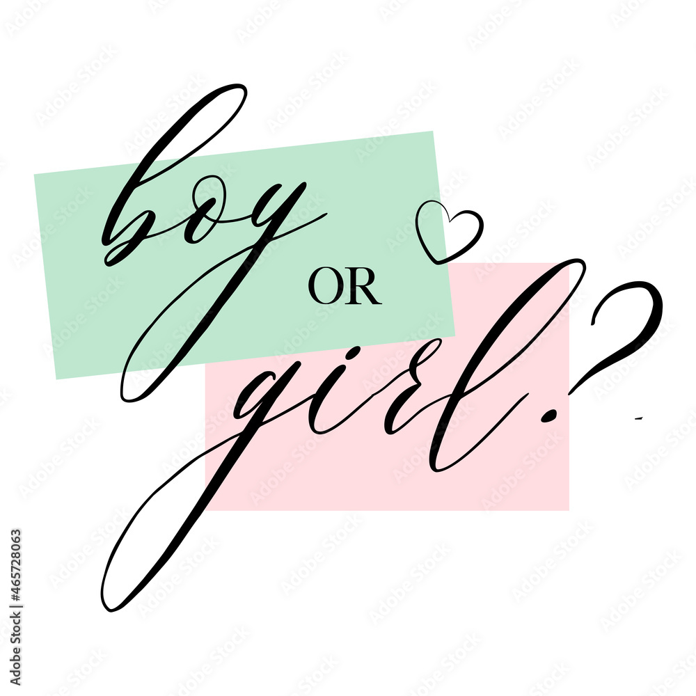 Boy or Girl? Gender reveal party vector lettering design Stock Vector ...