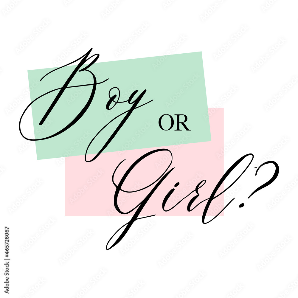 Boy or Girl? Gender reveal party vector lettering design Stock Vector ...