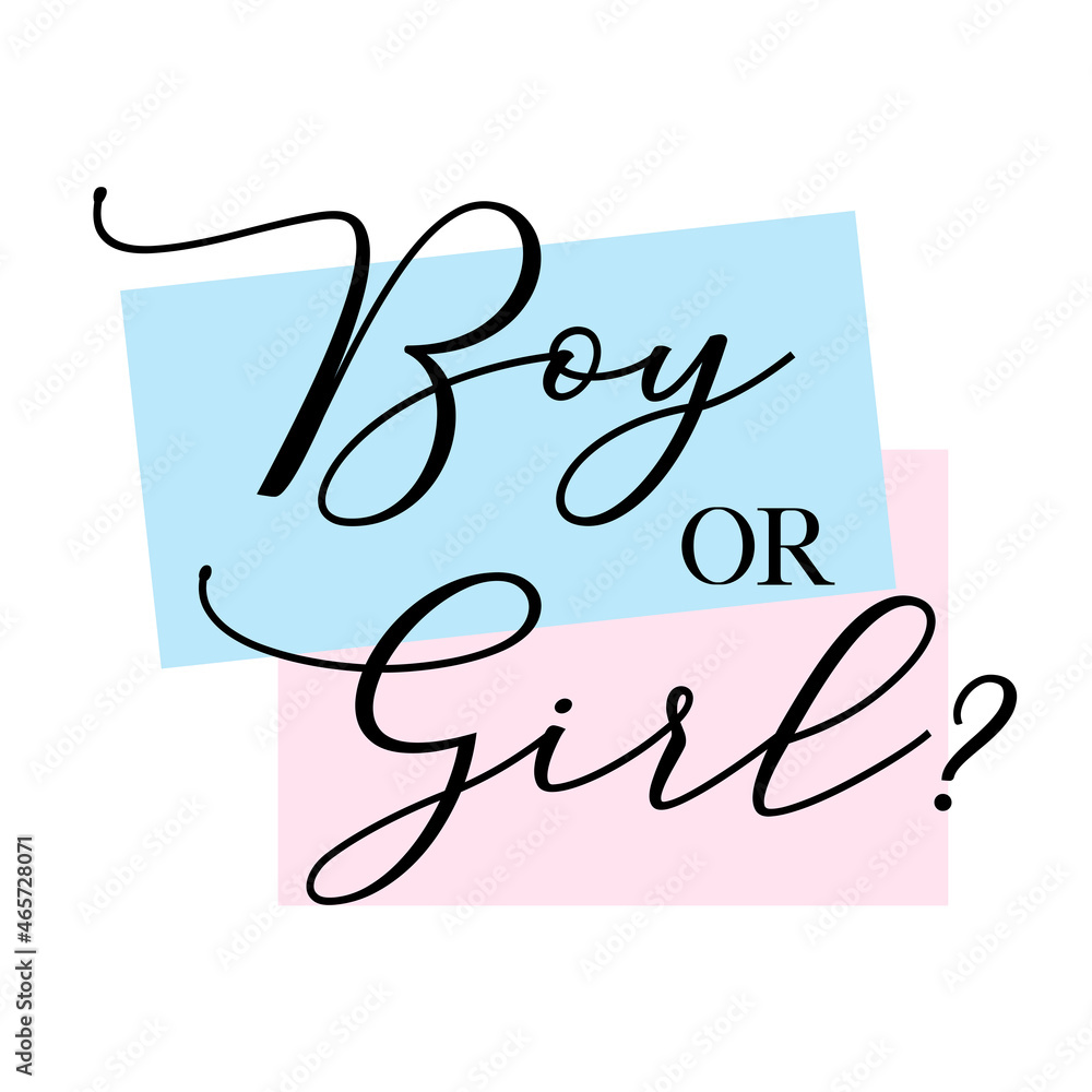Boy or Girl? Gender reveal party vector lettering design Stock Vector ...