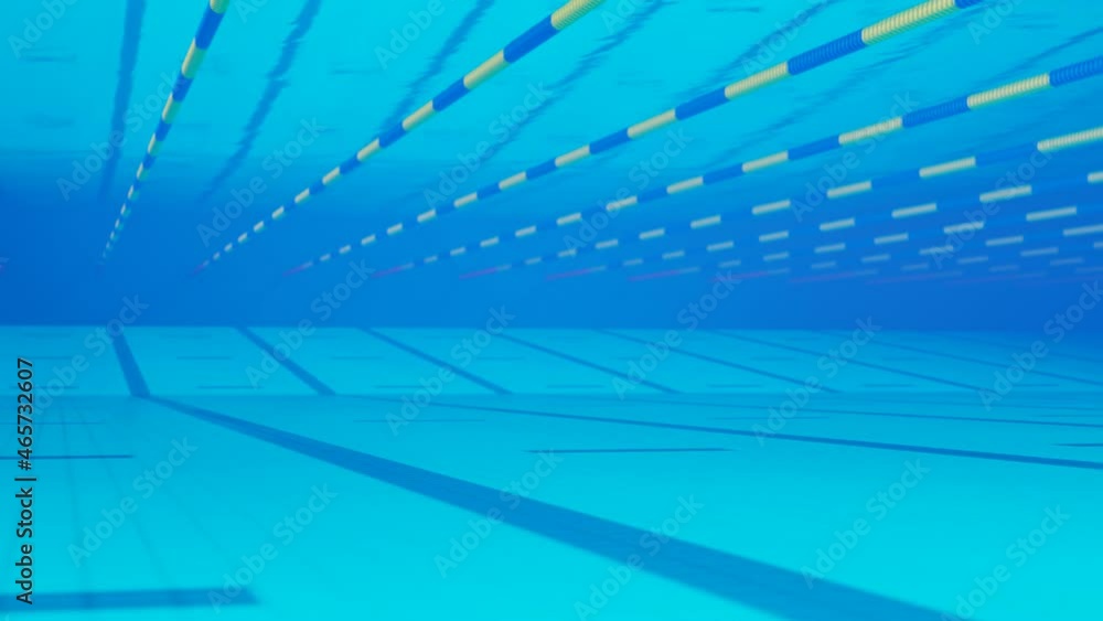 Looping animation of swimming in the Olympic swimming pool. Underwater ...