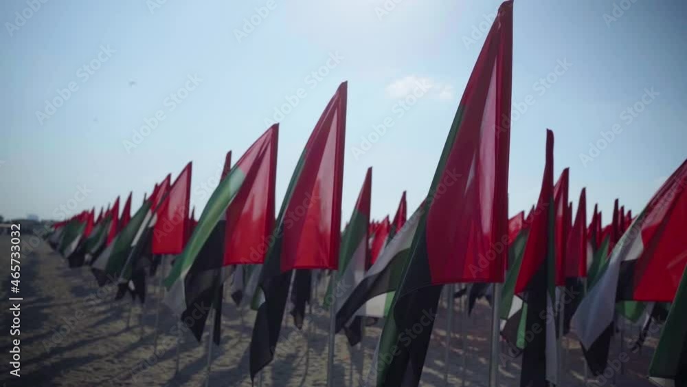 UAE Flag Day celebration with set up of Flag Garden, located at Kite ...