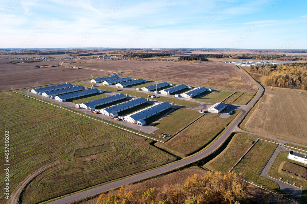 Farm building with cows and pigs in the village, aerial view. Cowshed ...