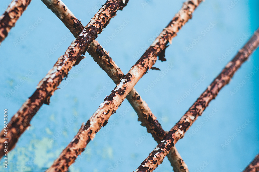 old rusty bars on the windows, bars on the window close-up. intrusion ...