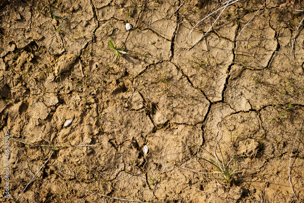 Cracked earth. Dry, cracked ground into the dry season. Dried cracked ...