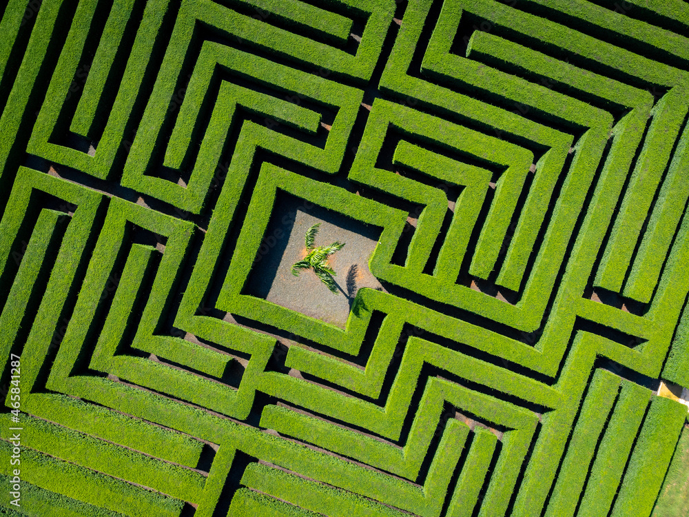 green maze background Stock Photo | Adobe Stock