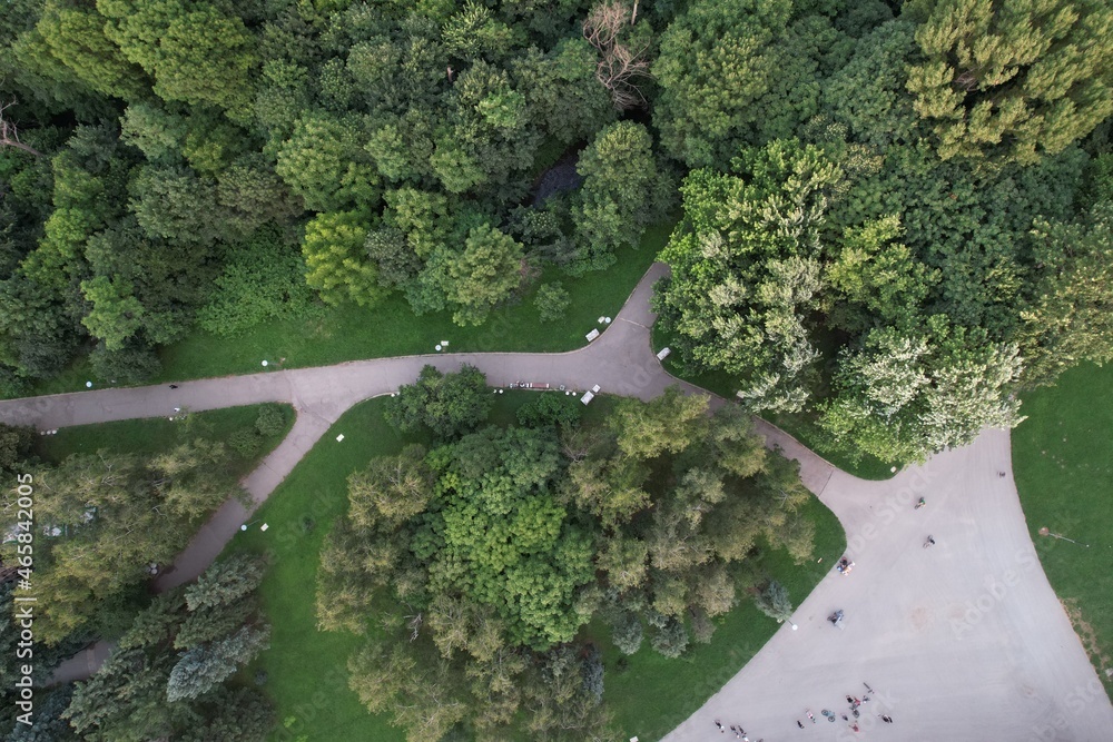 Urban park with meadow, trees and paths. Top view Stock Photo | Adobe Stock