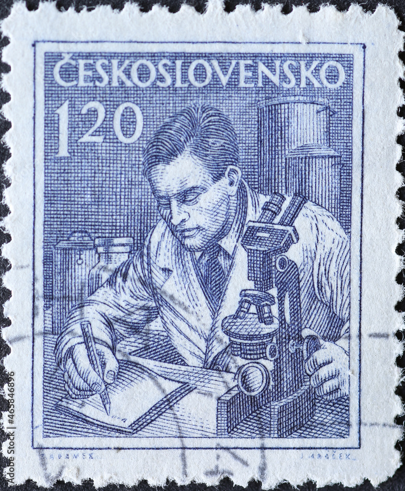 Czechoslovakia Circa 1954: A postage stamp printed in Czechoslovakia ...
