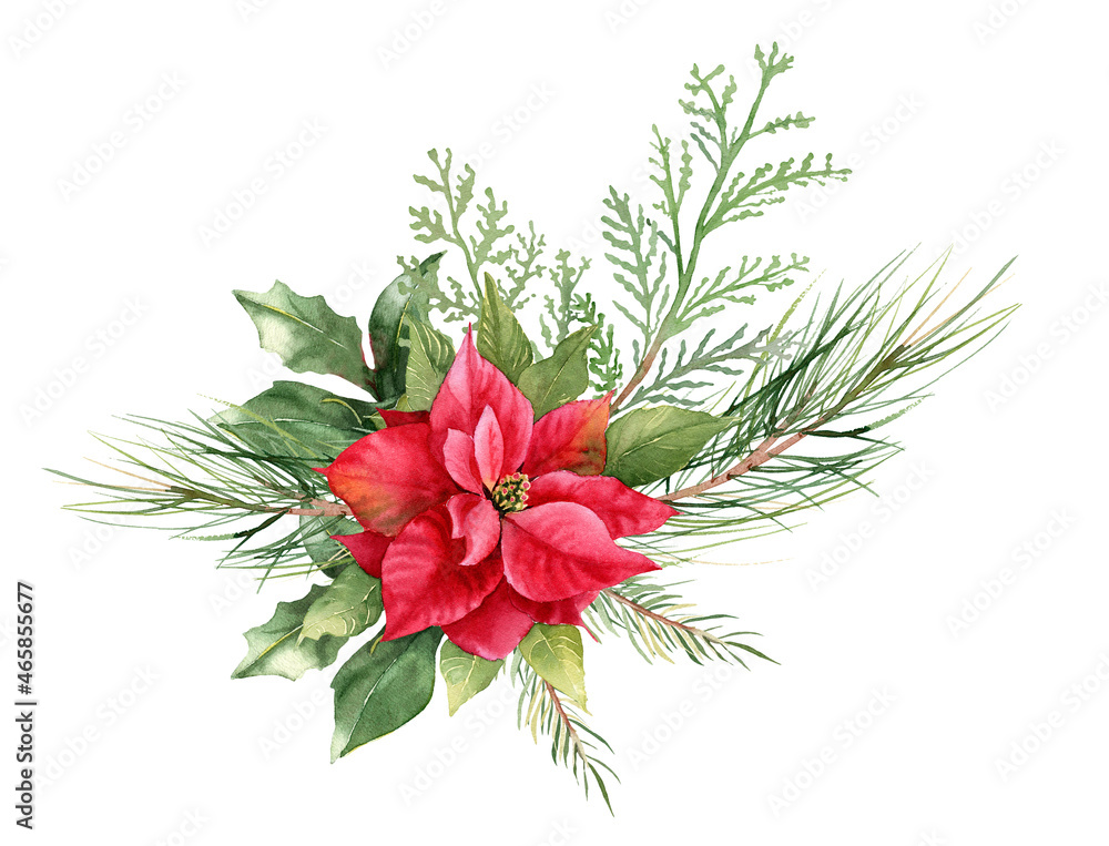 Watercolor Christmas floral ilustration. Hand drawn winter clipart ...