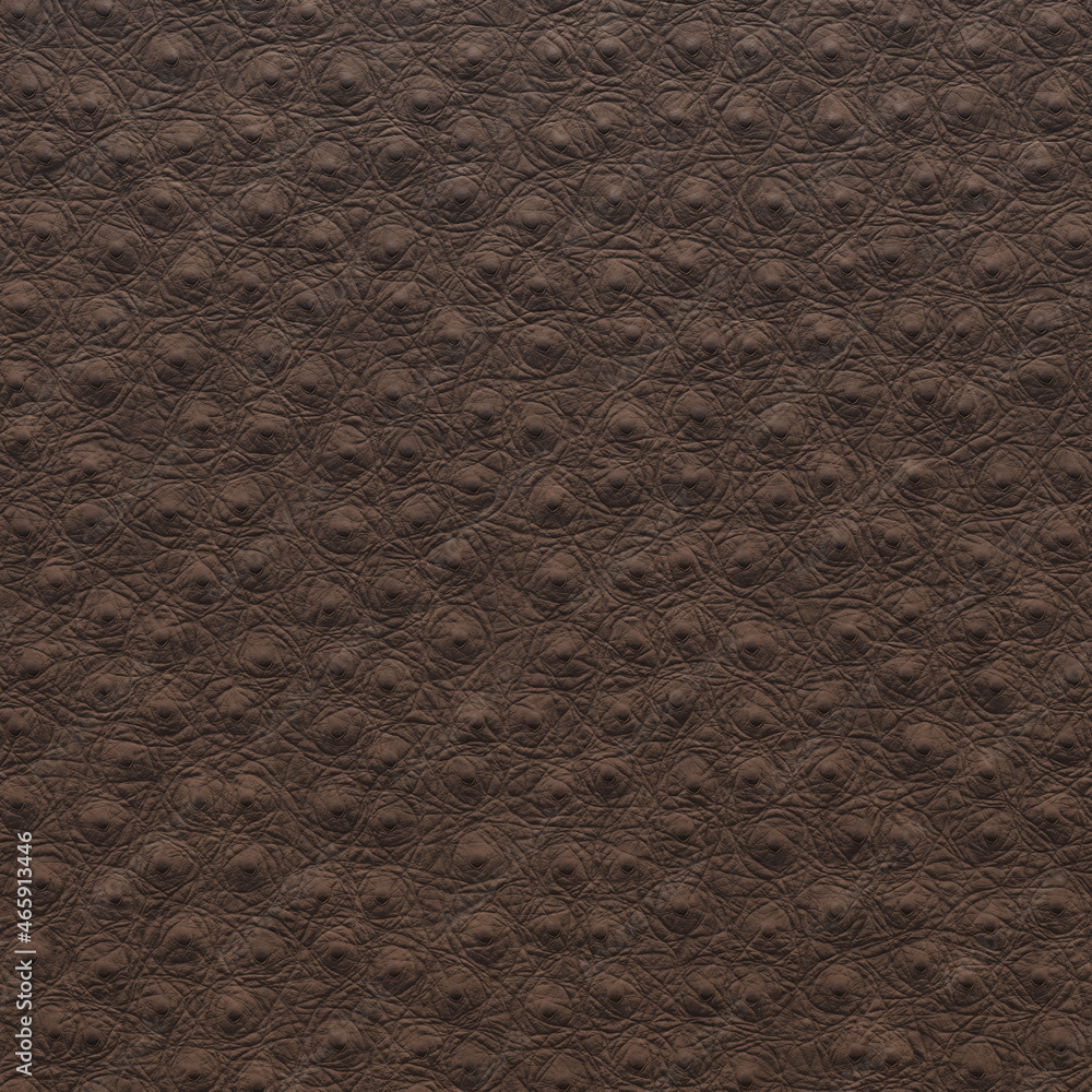 Genuine ostrich leather. The textured background of the ostrich skin is ...