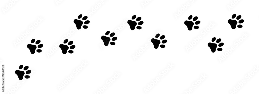 Paw print foot trail. Dog, cat paw print. Vector Stock Vector | Adobe Stock